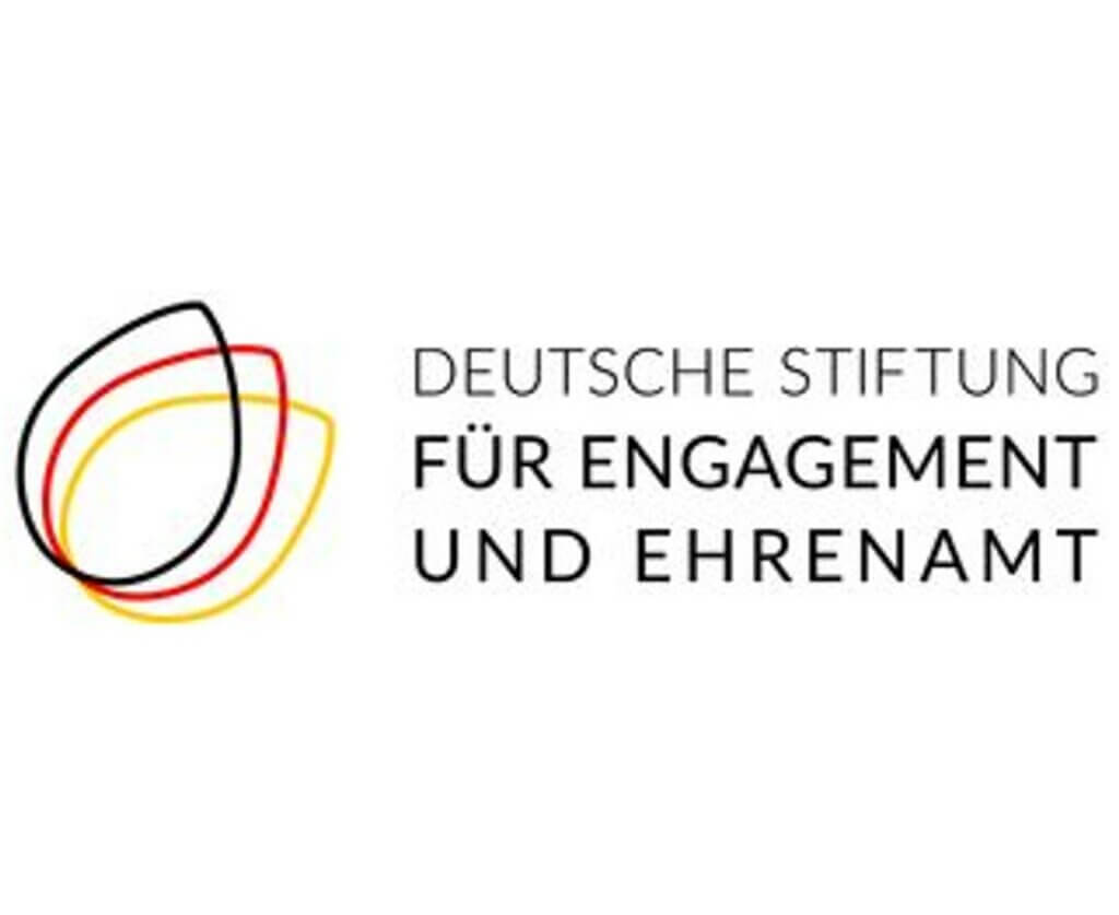 DSEE Logo rechteckig - Blog-Förderlotse